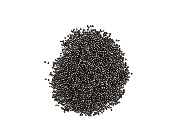 Boron Doped Diamond Solution - Boromond